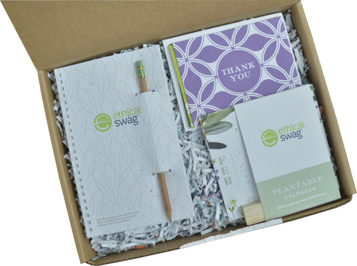 Custom Swag Packs | Sustainable & Branded Solutions